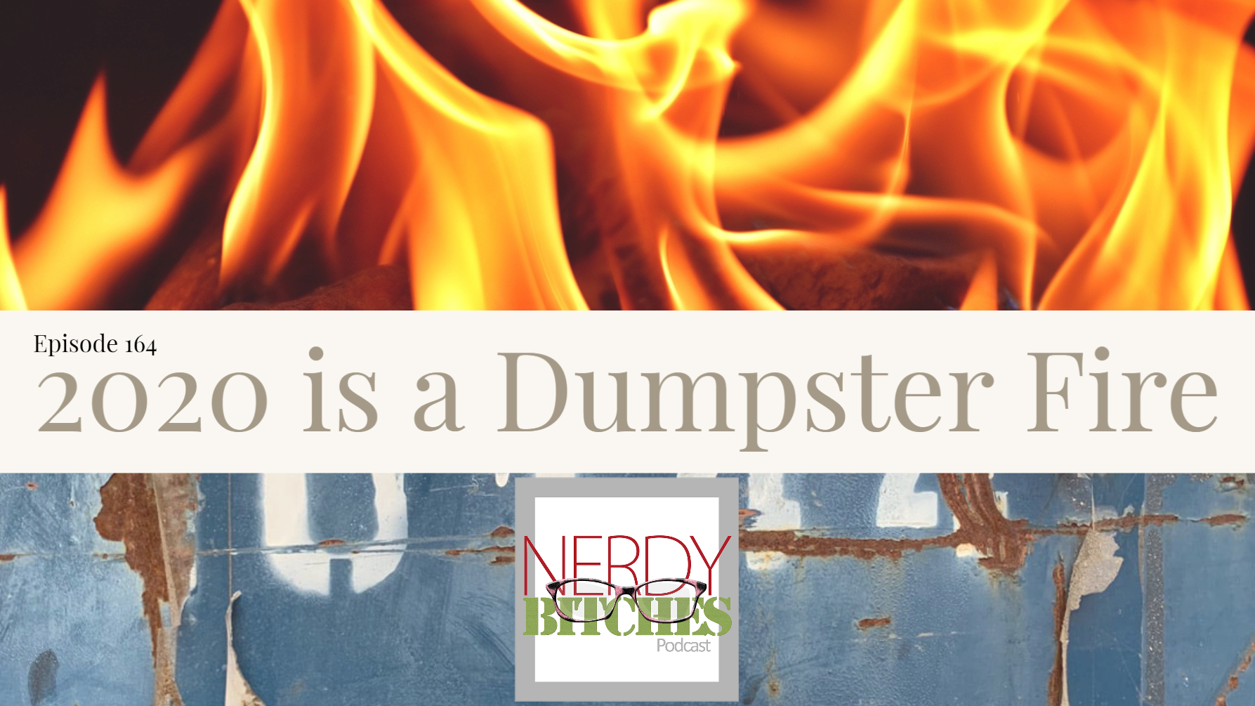 2020 is a Dumpster Fire - Nerdy Bitches Podcast